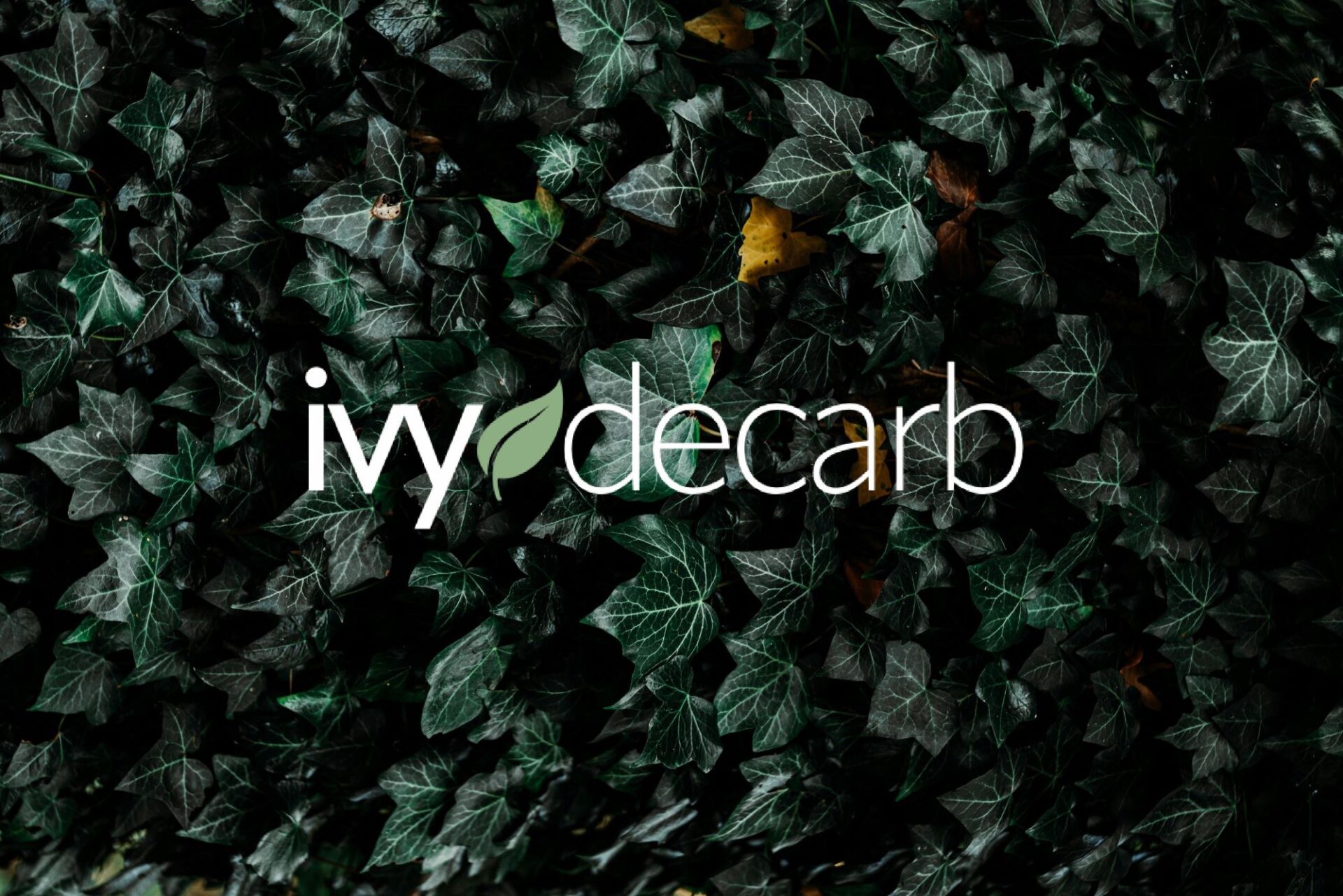 Itema announces strategic partnership with Ivy Decarb to accelerate ...